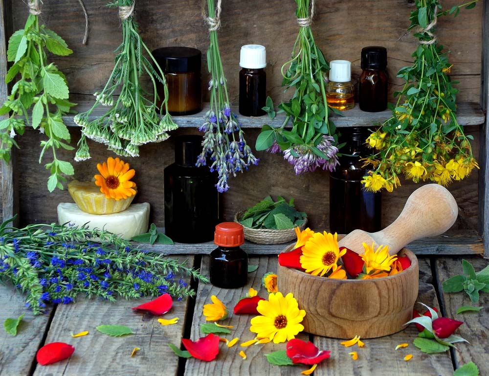 7 Healing Botanicals You Should Surround Yourself with in 2022 – Dr ...
