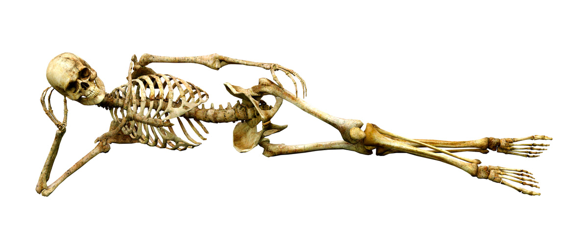 Bone-breaking Osteoporosis: Here’s Everything You Need to Know About i ...