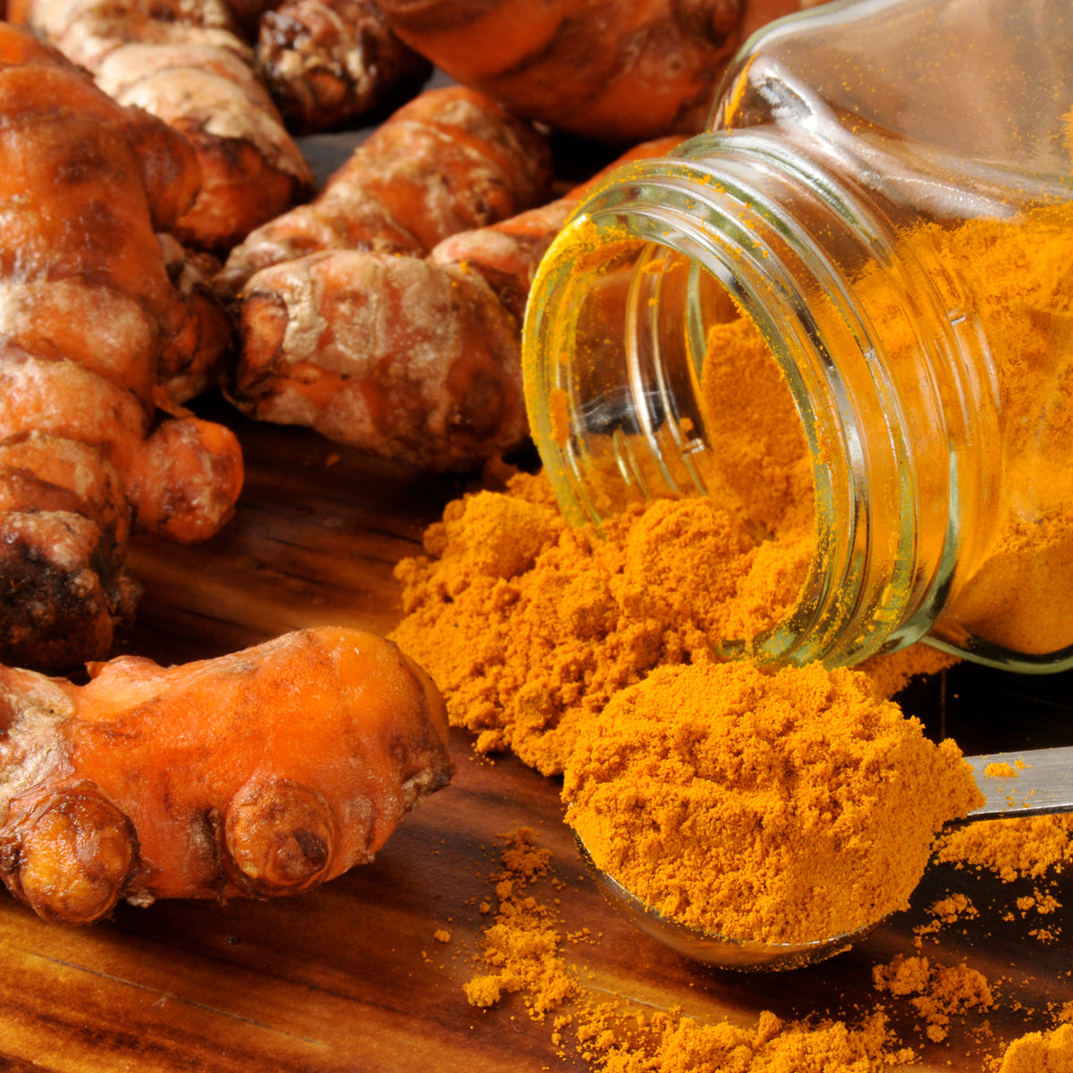 Fermented Turmerics: Is it a Better Solution than Just Turmeric? – Dr ...